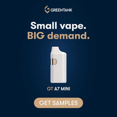 Florida Appeals Court Allows State to Reject 70K Signatures for 2026 ...